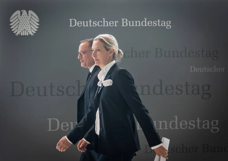 Die Selbstblockade der Mitte: Warum sich alles nur noch um die AfD ...